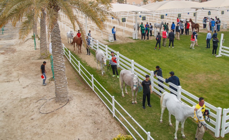 Bahrain International Endurance Village gears up for Ramadan races ...